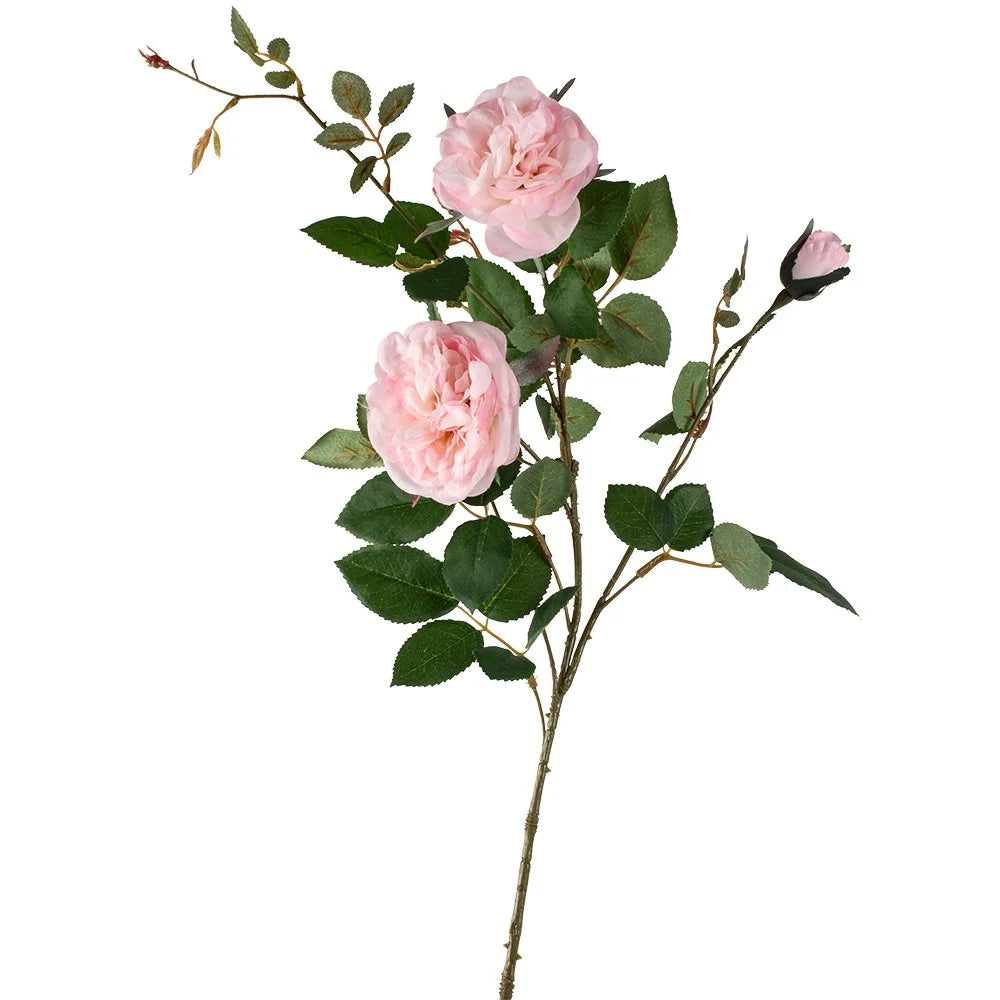 Spray Rose Light Pink 90cm – Magnolia the Florist